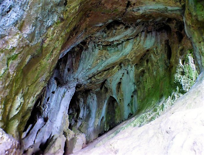 The garden of Ogmios – France & Vincent