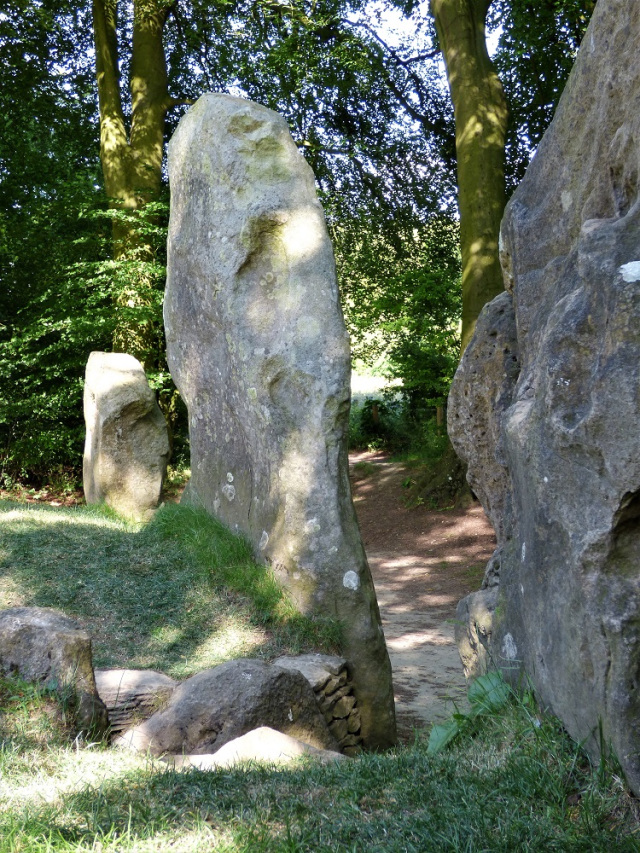 A vegetative soul… – France & Vincent