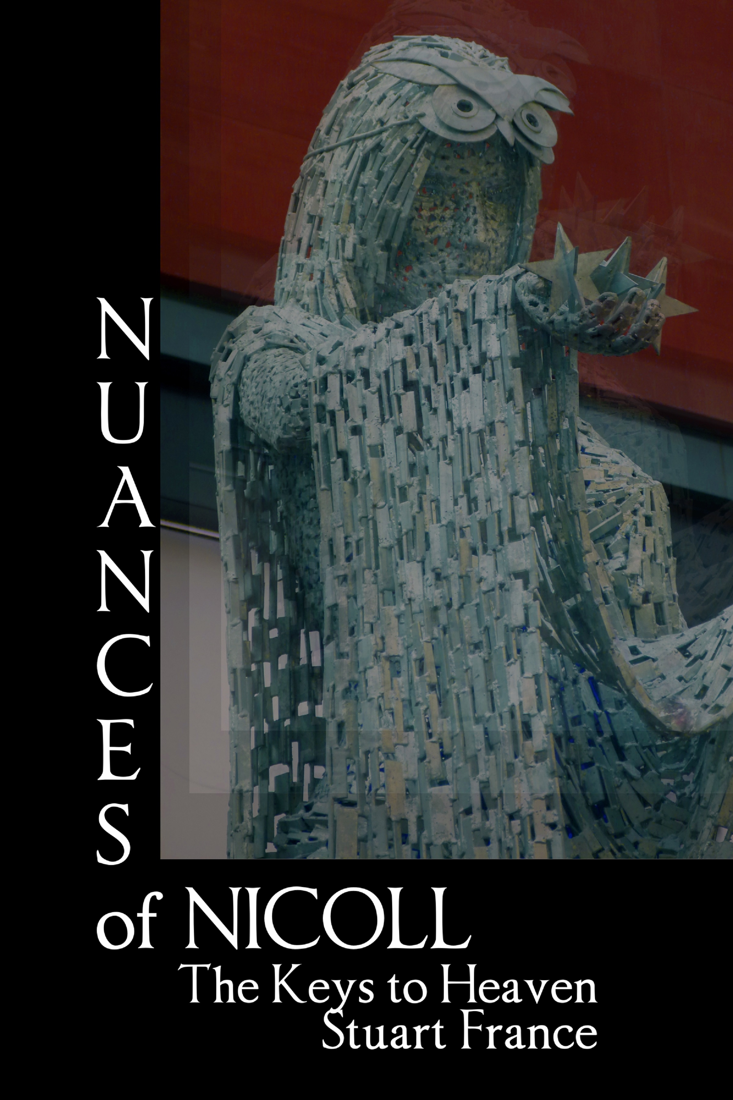 Nuances of Nicoll ~ A book by Stuart France – France & Vincent
